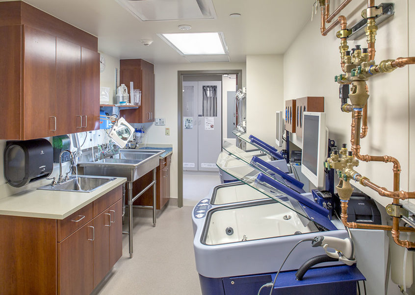 Special Procedure Endoscopy Suite - Fox Architecture